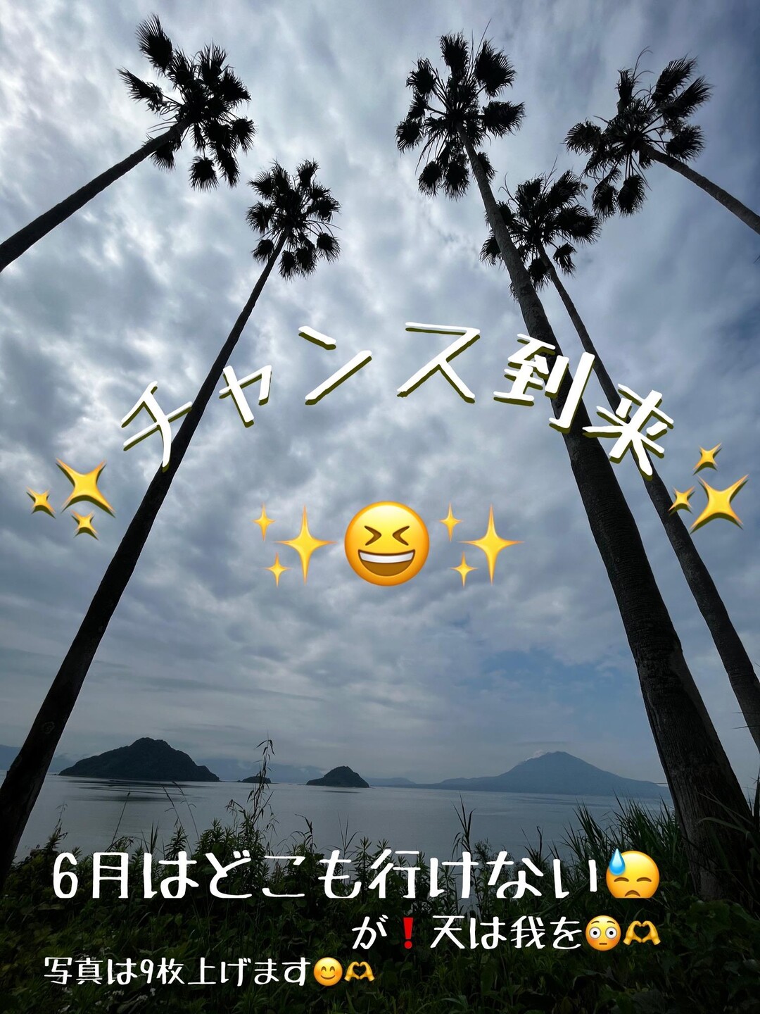 2023.06.15(木) 00:29 / たま🥰さんのモーメント | YAMAP / ヤマップ