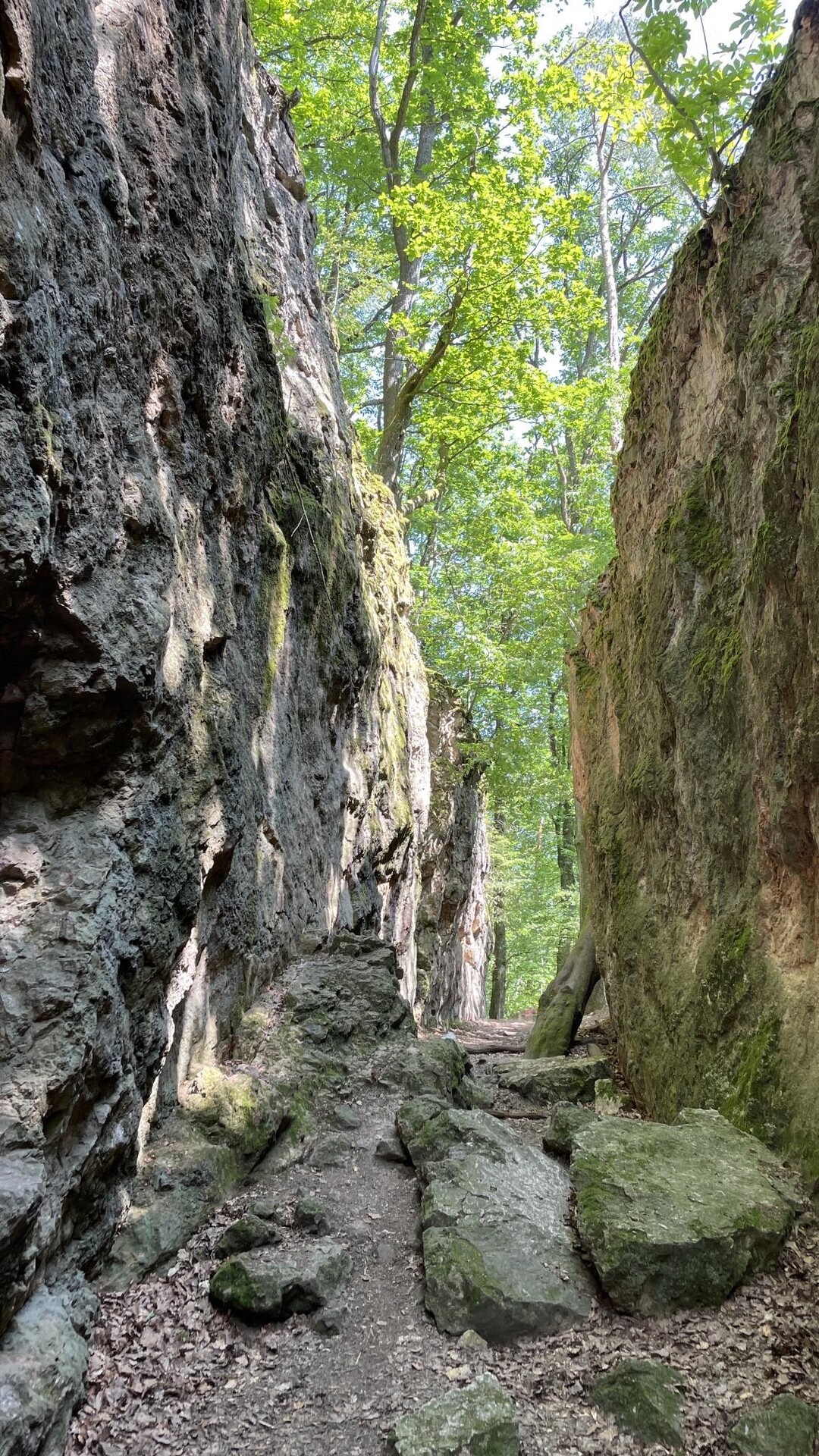 Spatschlucht in Schriesheim@ドイツ🇩🇪 / Sarahさんのウォーキングの活動データ | YAMAP / ヤマップ