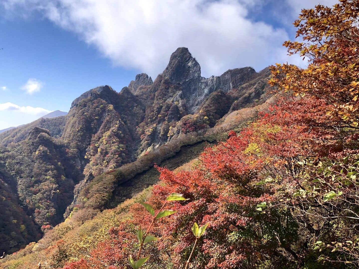 根子岳東峰 紅葉めぐり / ゆうさんさんの阿蘇山・高岳・根子岳の活動データ | YAMAP / ヤマップ