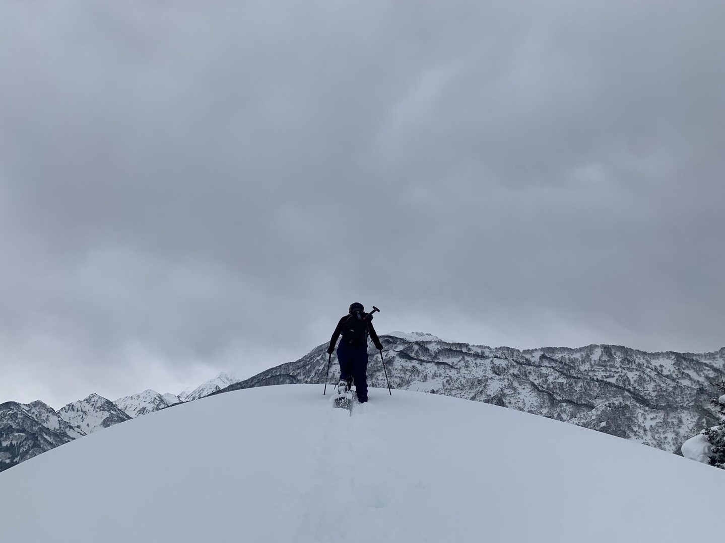 坊谷山・愛宕山 / takakoさんの坊谷山・愛宕山の活動データ | YAMAP / ヤマップ