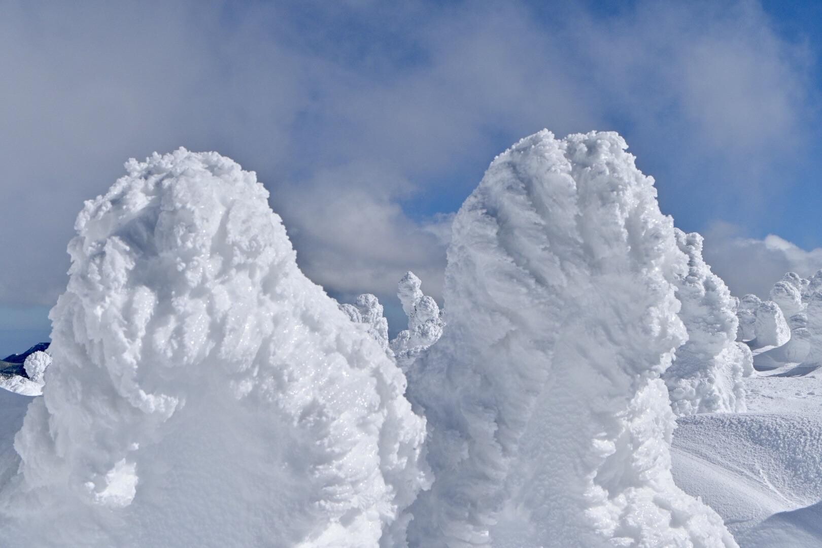 ミラクルな青空とミニモンを満喫西吾妻山 / me_holicさんの吾妻山・一切経山の活動データ | YAMAP / ヤマップ