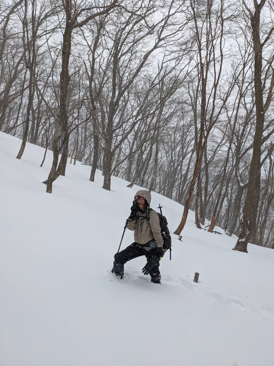 犬帰谷左岸尾根 / nabettiさんの藤原岳・御池岳の活動データ | YAMAP / ヤマップ