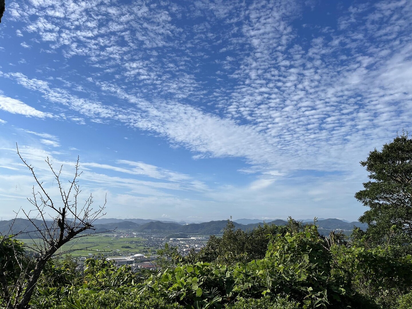 秋のはじまり鉄砲山 / Amyさんのウォーキングの活動データ | YAMAP / ヤマップ