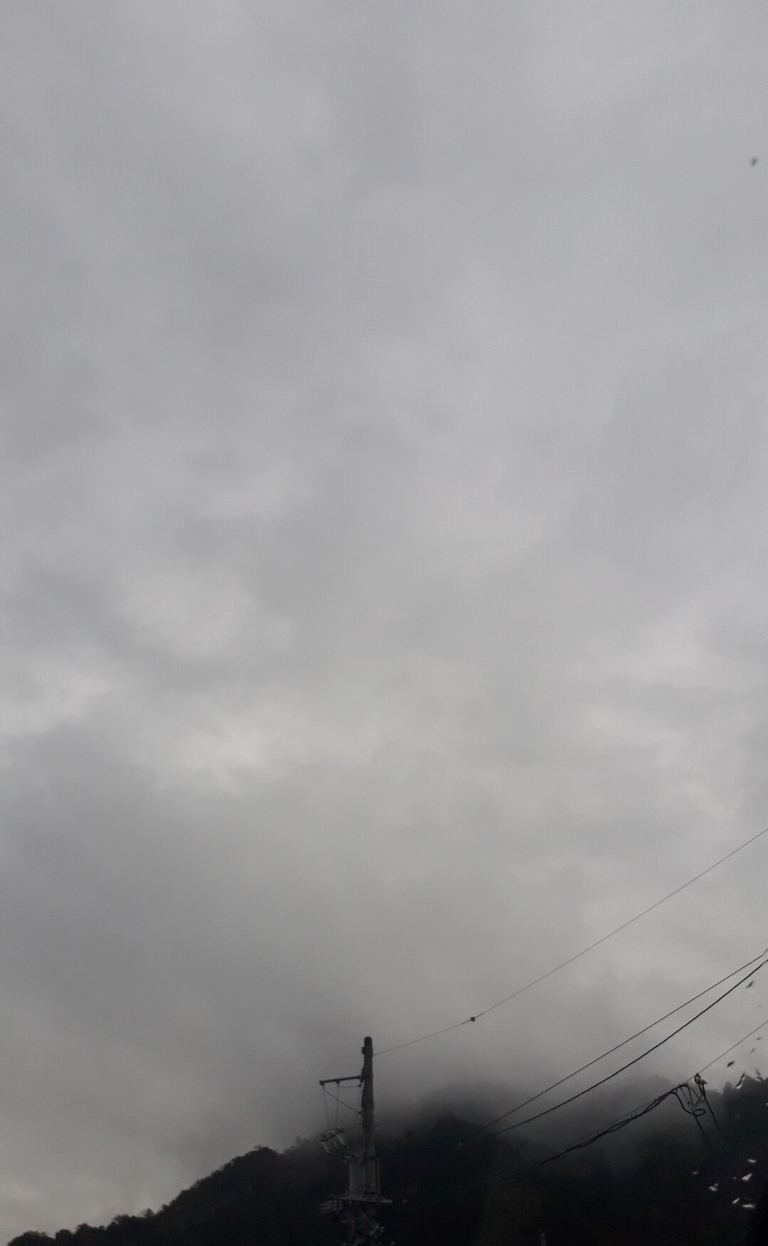 【☁️に隠れた金華山】 おはようござい... / ☆•*¨*•.¸¸🧞‍♂️ Genie (ma-2) 🧞‍♂️•*¨*•.¸¸☆さんのモーメント | YAMAP / ヤマップ