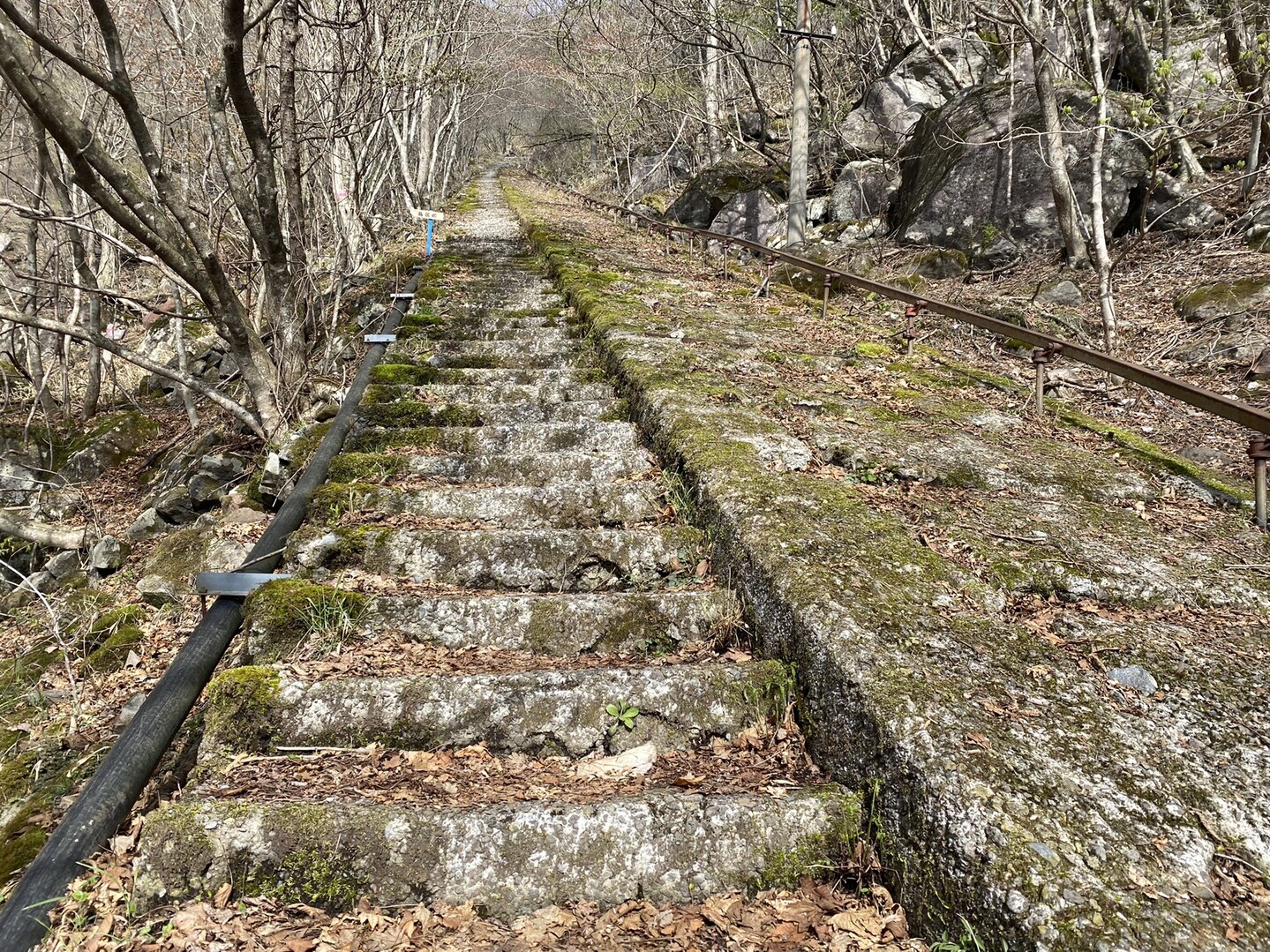 赤城の御神水を汲みに800段の階段を降り... / しばたさんのモーメント | YAMAP / ヤマップ