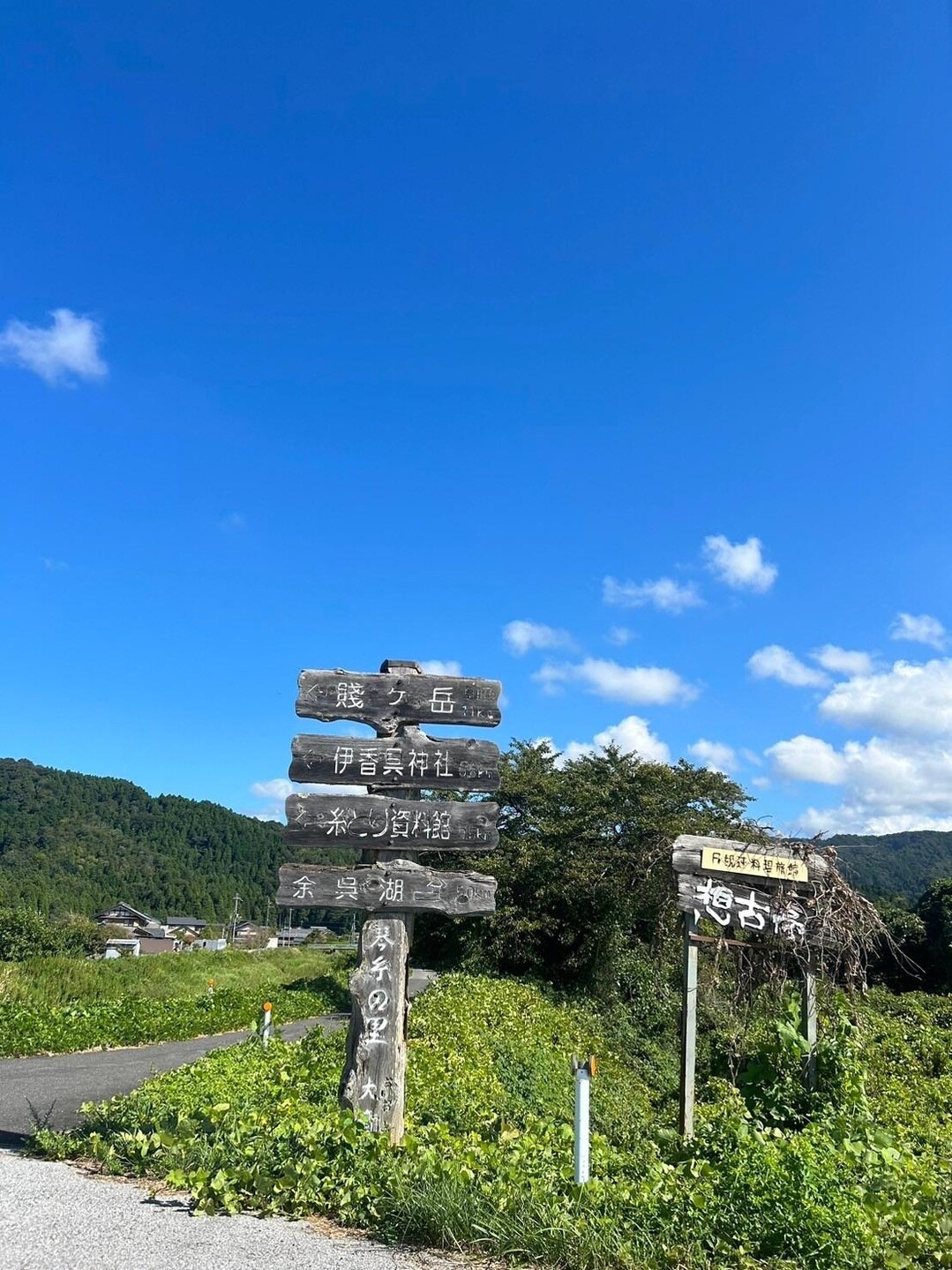 賤ヶ岳 / mizu*kaさんの賤ヶ岳・山本山の活動データ | YAMAP / ヤマップ