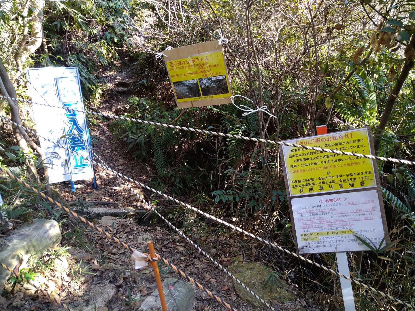 J.Majimaさんの投稿したフィールドメモ | YAMAP / ヤマップ