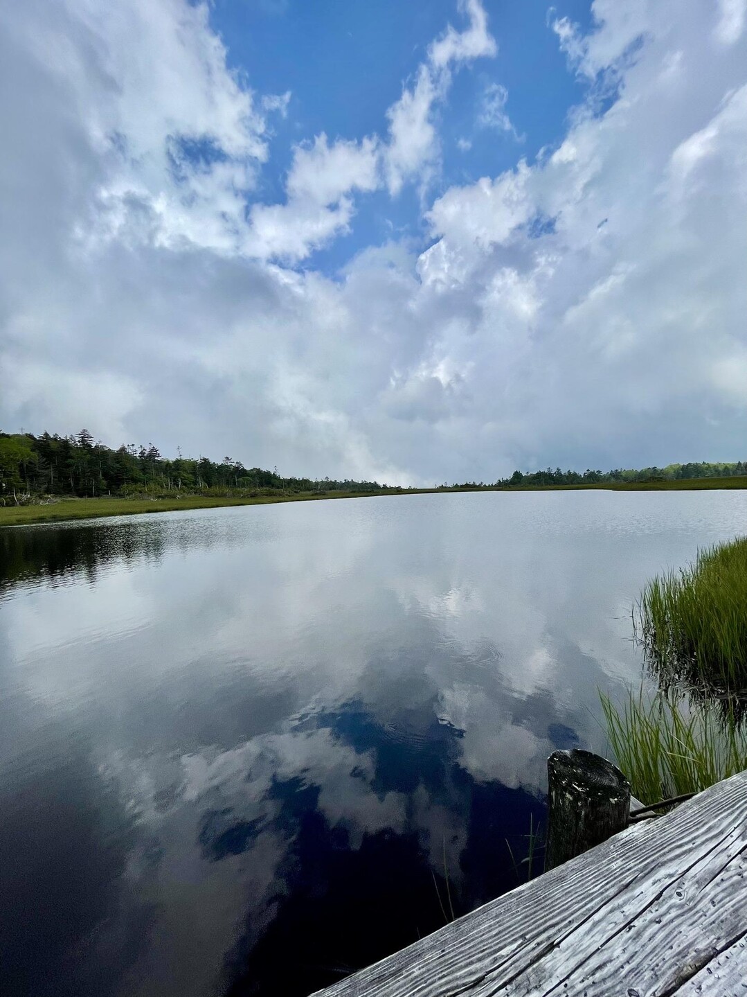 天空の湿原を求めて 鬼怒沼 2023-06-25 / Y.GOMAさんのウォーキングの活動データ | YAMAP / ヤマップ