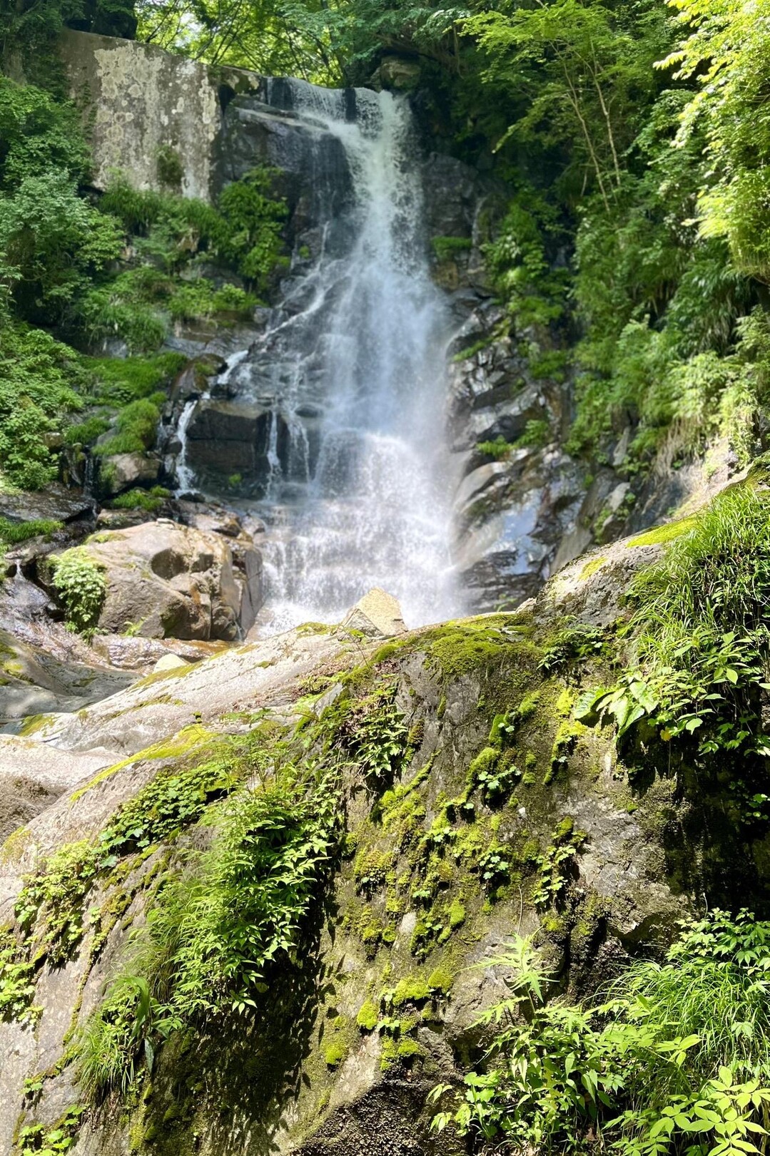9ヶ月ぶりの㊗️ 沢 復帰戦🪢 沢始... / miiさんのモーメント | YAMAP / ヤマップ