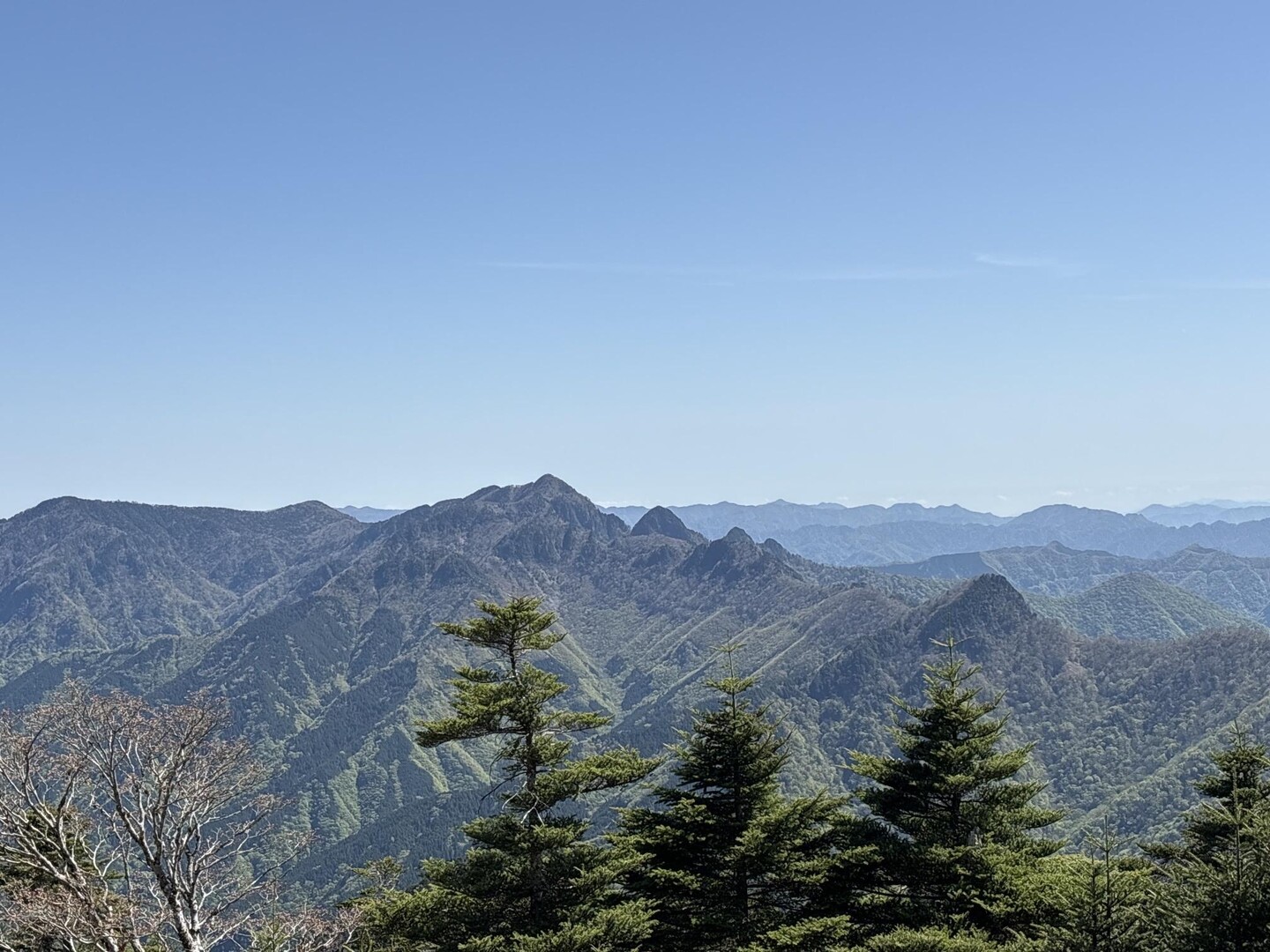 maaasanさんの投稿したフィールドメモ | YAMAP / ヤマップ