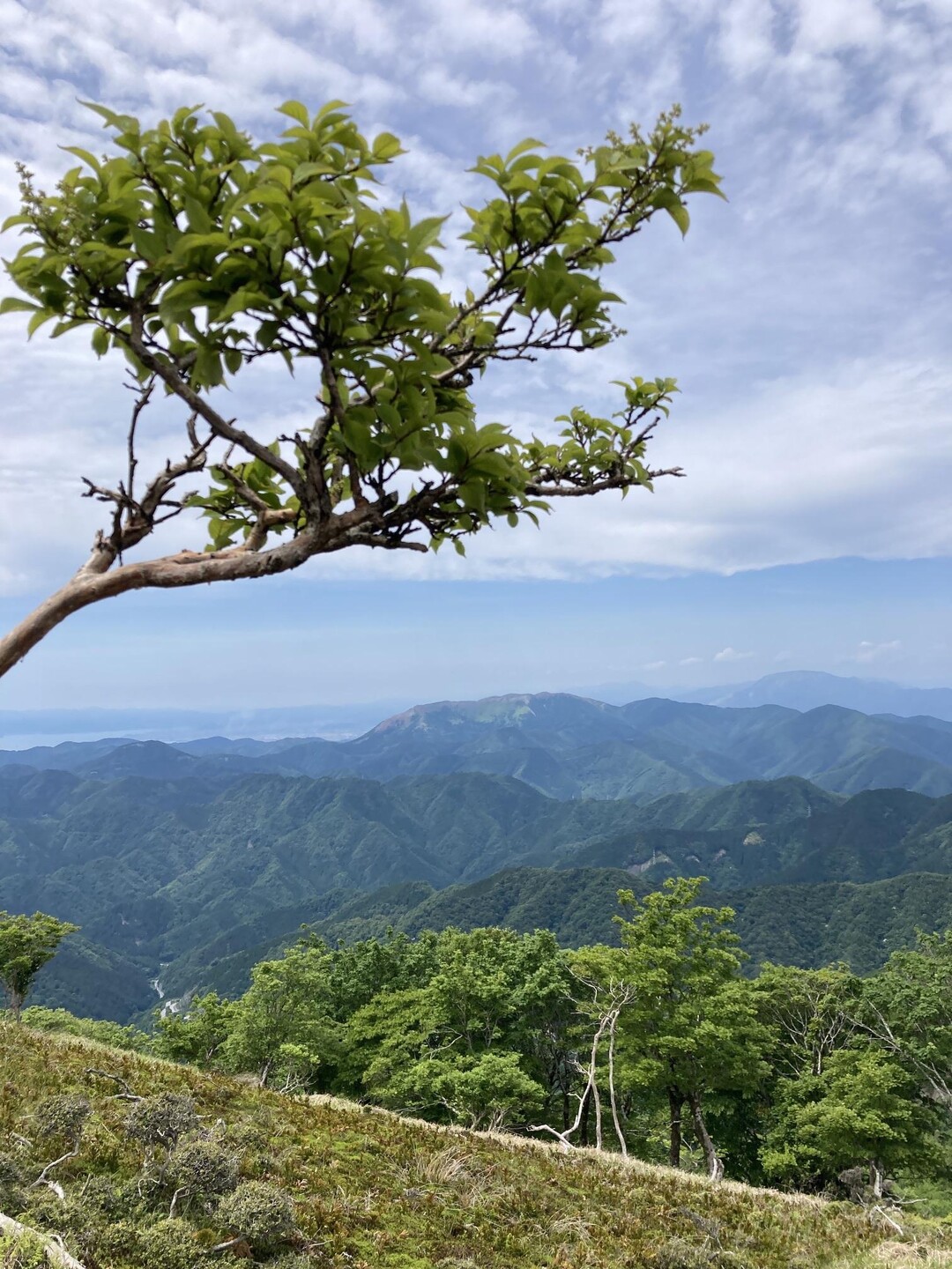 御池岳・鈴北岳(コグルミ谷↗︎鞍掛峠↘︎) / kenunoさんの藤原岳・御池岳の活動日記 | YAMAP / ヤマップ