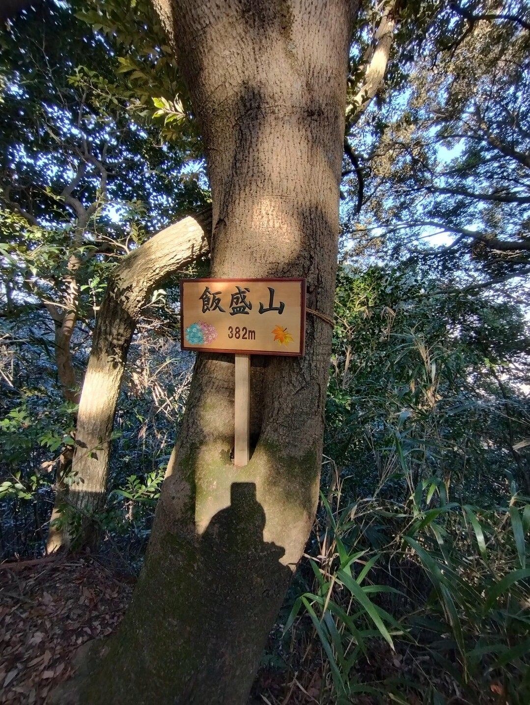 叶岳・高地山・日向山・飯盛山 / nishiyanさんの高祖山・飯盛山・叶岳の活動日記 | YAMAP / ヤマップ