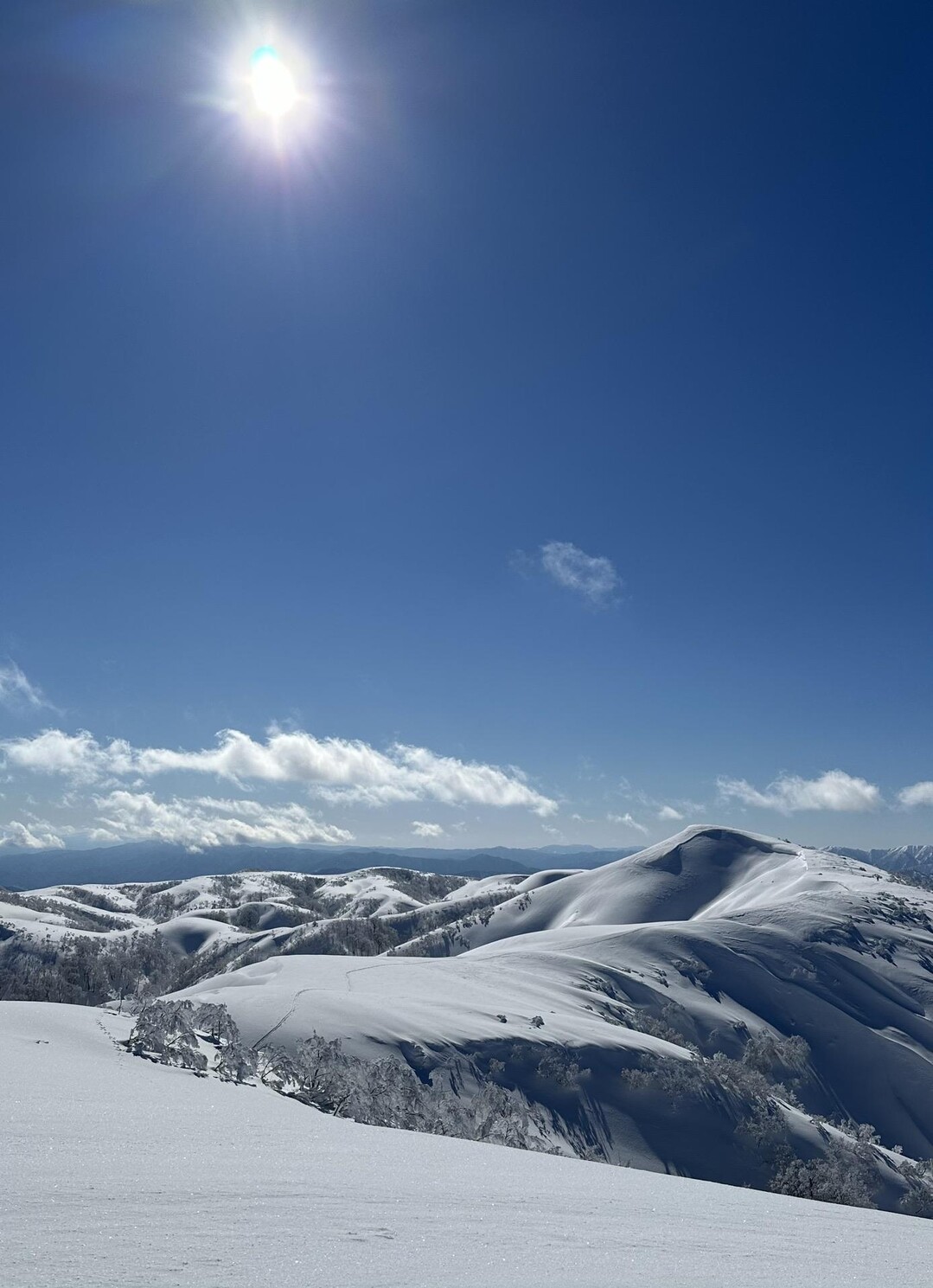 片折岳・前金剛・中金剛⭐︎ソロハイク / akko☆さんの金剛堂山の活動データ | YAMAP / ヤマップ