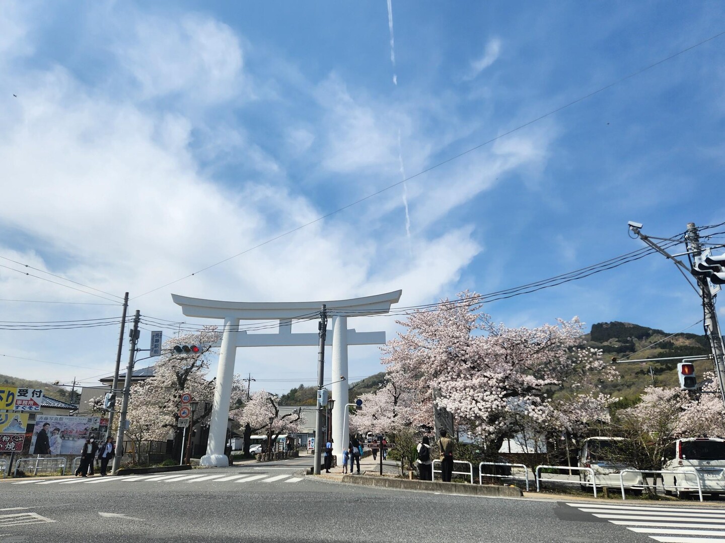 2024.4.13土 久しぶりのYAMA... / chiさんのモーメント | YAMAP / ヤマップ