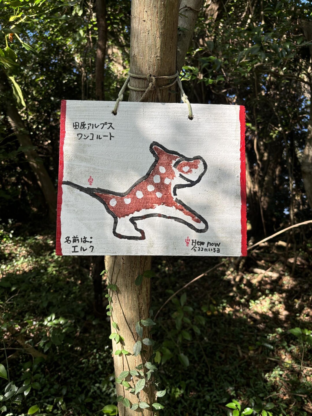 田原アルプス わんこルート🐶 / nA_Akさんの蔵王山・衣笠山・滝頭山の活動日記 | YAMAP / ヤマップ