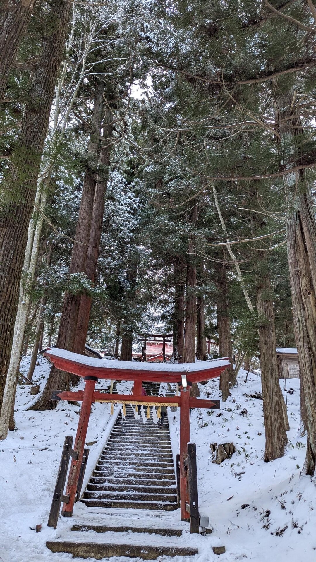 初詣。九戸神社にて。 雪、いい感じです。... / RS-1 PHD さんのモーメント | YAMAP / ヤマップ