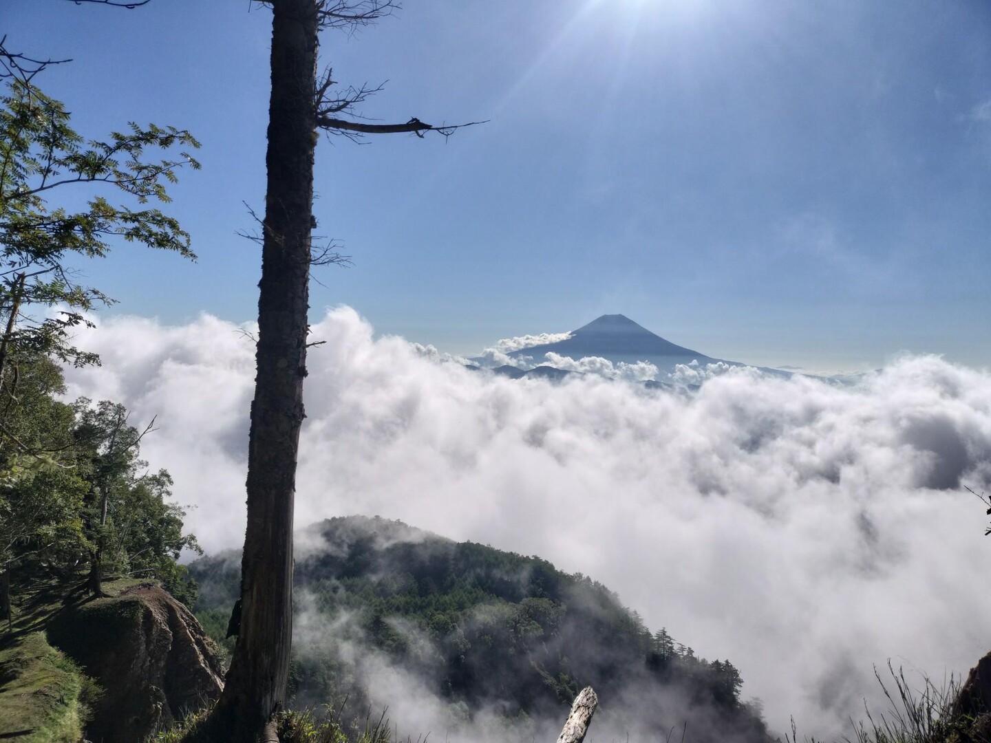 七面山・希望峰 / Wanさんの七面山・身延山の活動データ | YAMAP / ヤマップ
