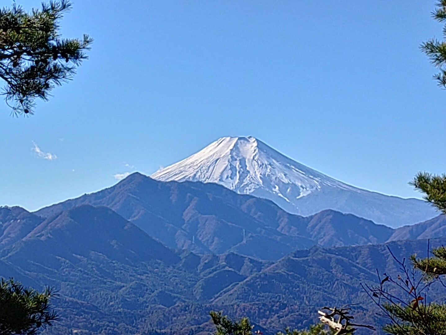 猿橋駅から梁川駅へピークハント / maxさんの倉岳山・高畑山・九鬼山の活動データ | YAMAP / ヤマップ