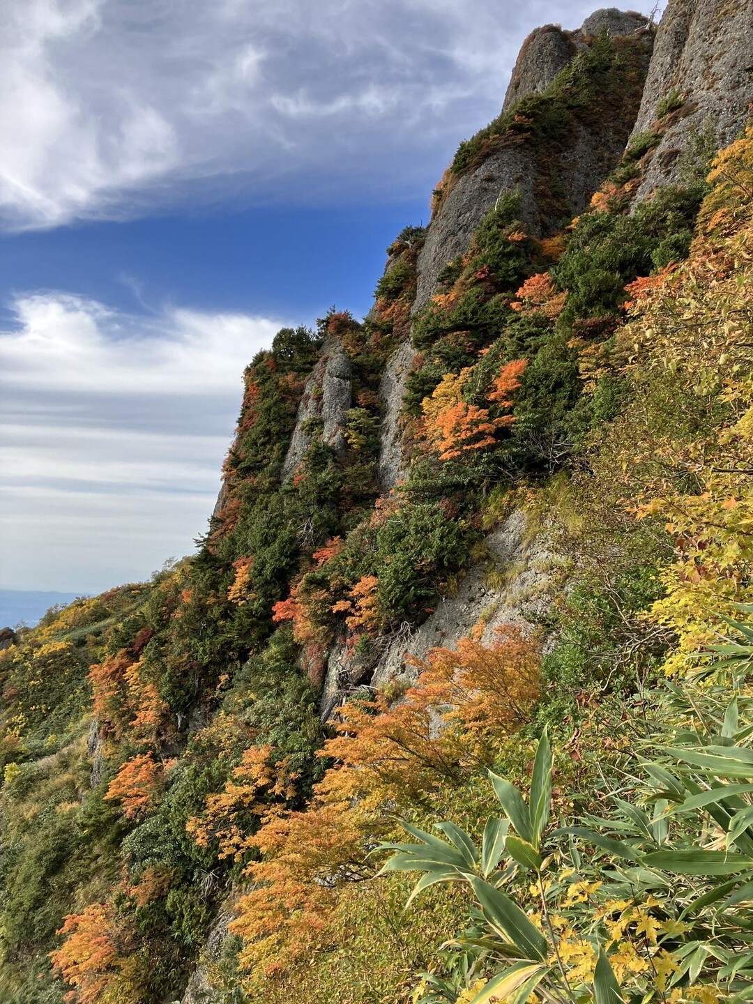 池ノ峰・浅草岳・薬師岳・地蔵岳・大日岳 / Shineさんの越後駒ヶ岳・八海山・中ノ岳の活動データ | YAMAP / ヤマップ