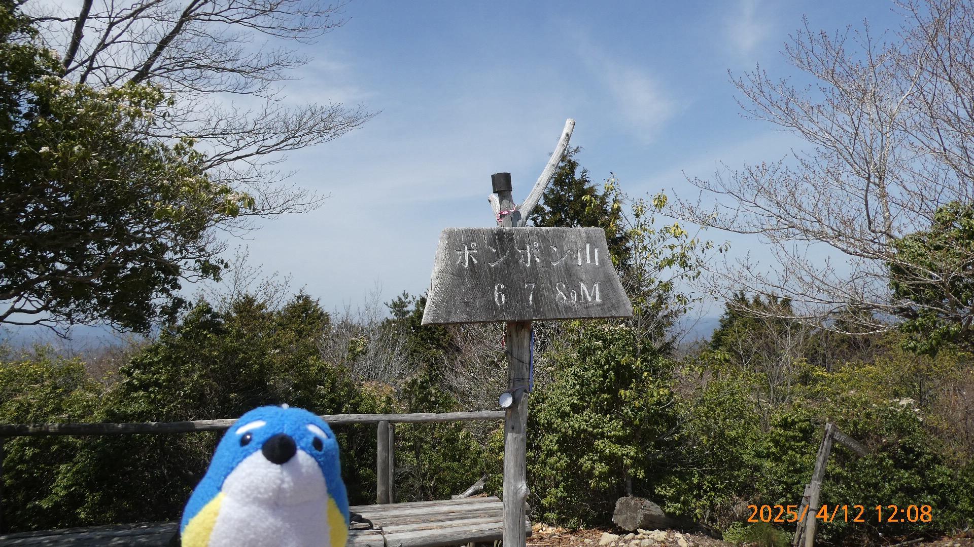 20250412 ポンポン山 / とねやんさんのポンポン山・釈迦岳・小塩山・若山の活動日記 | YAMAP / ヤマップ
