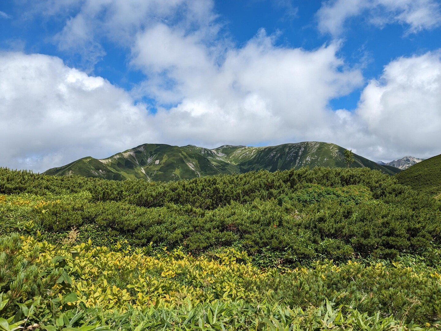 雨の双六岳☔ / emi.sanさんの槍ヶ岳・穂高岳・上高地の活動日記 | YAMAP / ヤマップ