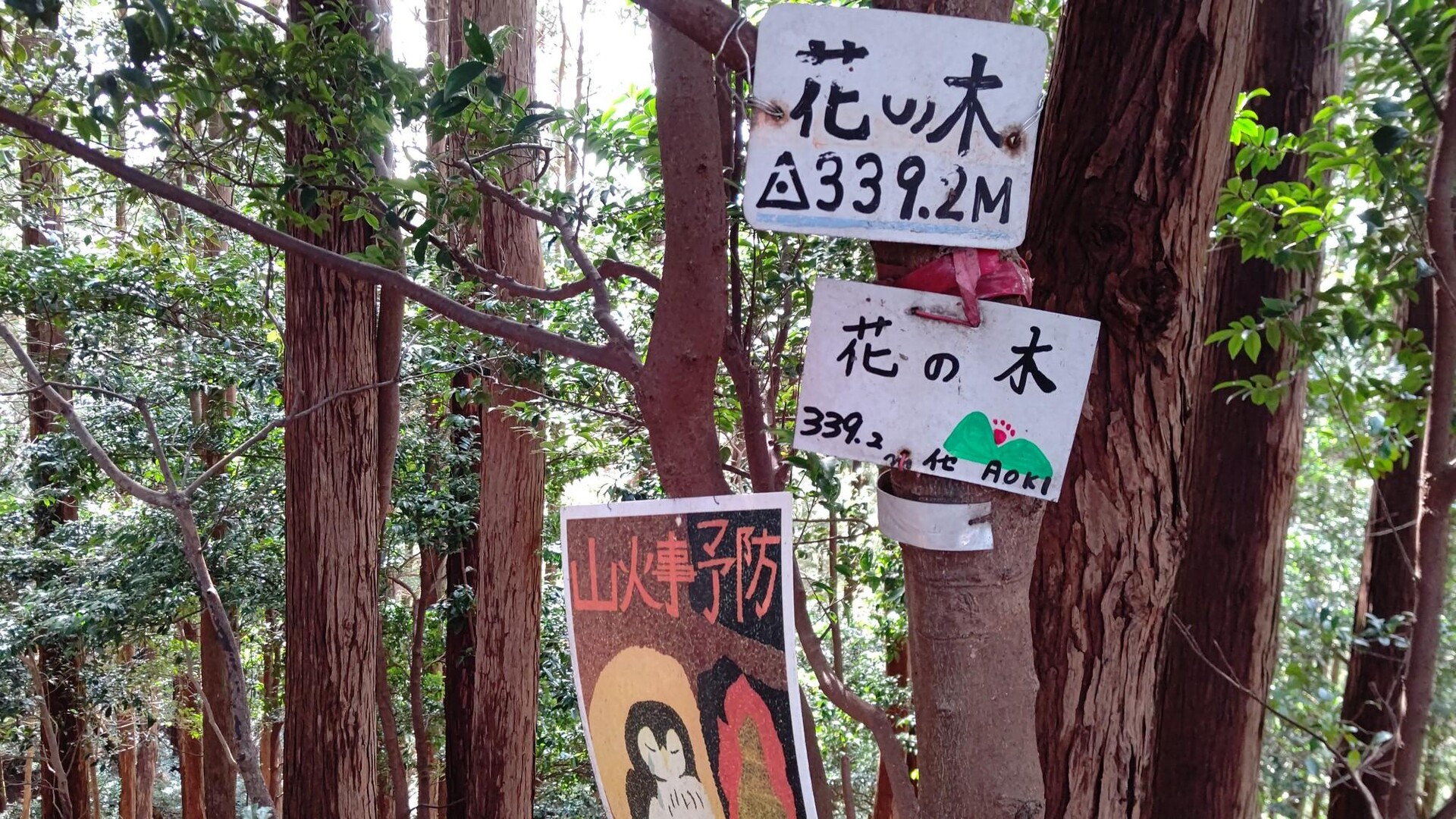 コツコツ鈴鹿300山⛰花の木・筆捨山 / yukiさんの羽黒山・筆捨山・観音山の活動データ | YAMAP / ヤマップ