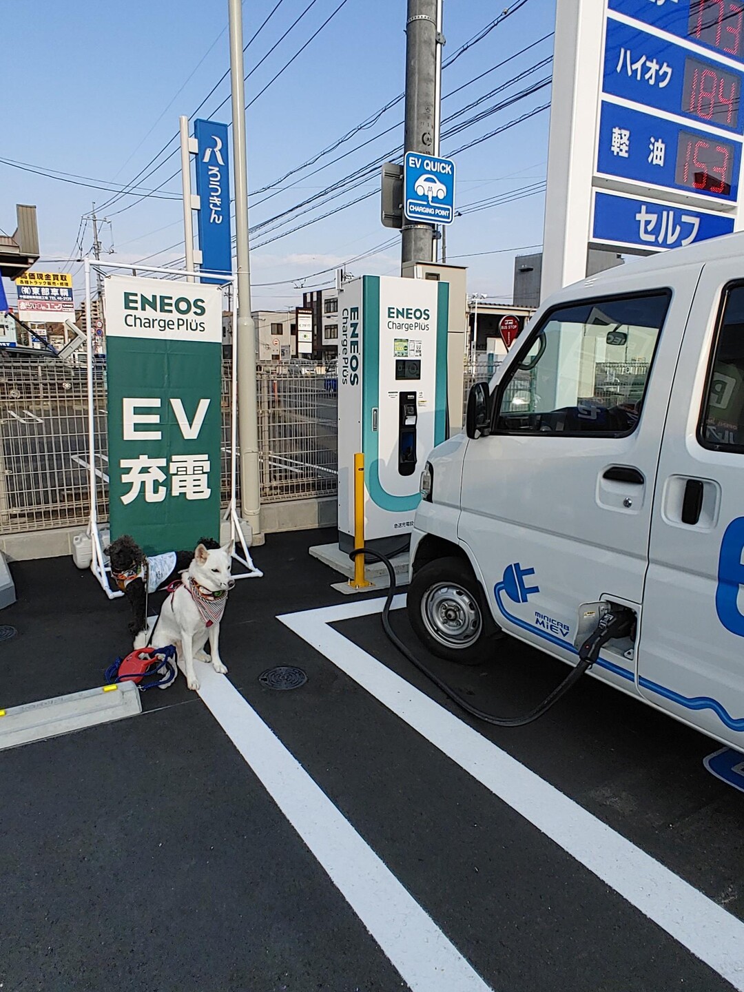 🌥️今朝のお散歩🎶 🚙EV車テスト... / GHハコさんのモーメント | YAMAP / ヤマップ