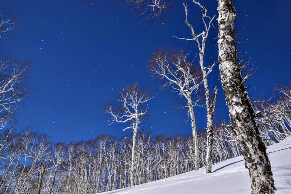4年前の瑠辺斯岳 ルベス岳って読めないで... / 花さん🎵さんのモーメント | YAMAP / ヤマップ