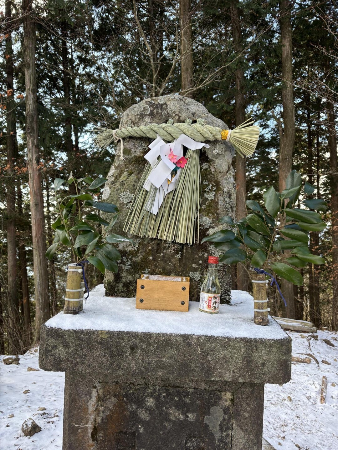 明神山（三ツ瀬）リハビリ登山&登り納め / はまちゃんさんの明神山（三ツ瀬明神山）の活動データ | YAMAP / ヤマップ