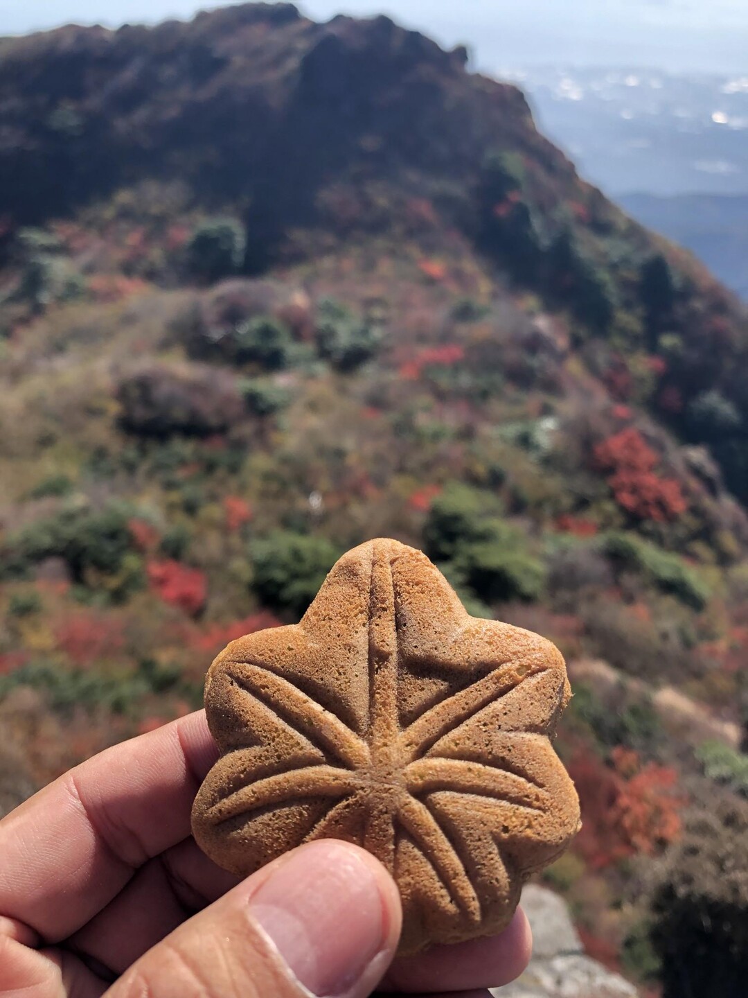 もみじ饅頭片手に紅葉狩りだよ普賢岳 / ryo_kenさんの雲仙岳・普賢岳・絹笠山の活動データ | YAMAP / ヤマップ