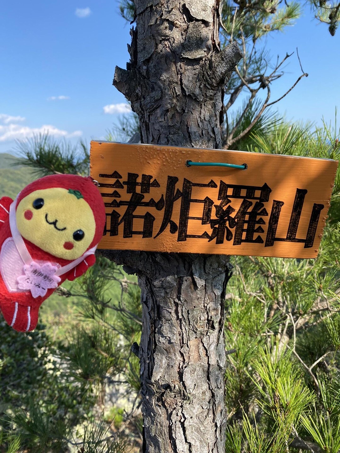 切間の八・諾炬羅山(たこらやま) / chiiiyanさんの南伊勢町の活動データ | YAMAP / ヤマップ