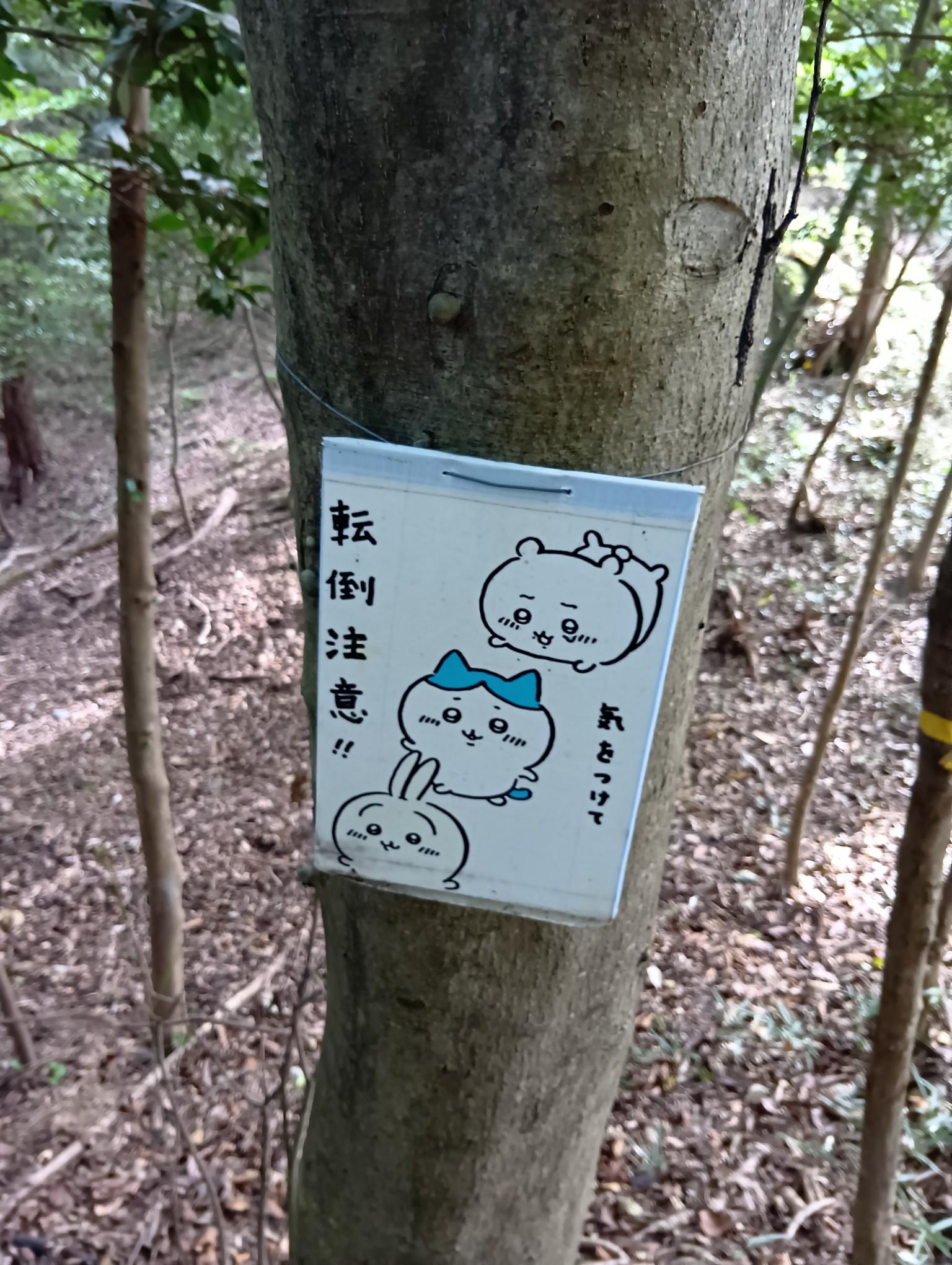 南宮山（伊賀小富士）・岡山 / ユーザーmegitaさんの南宮山（伊賀小富士）の活動データ | YAMAP / ヤマップ