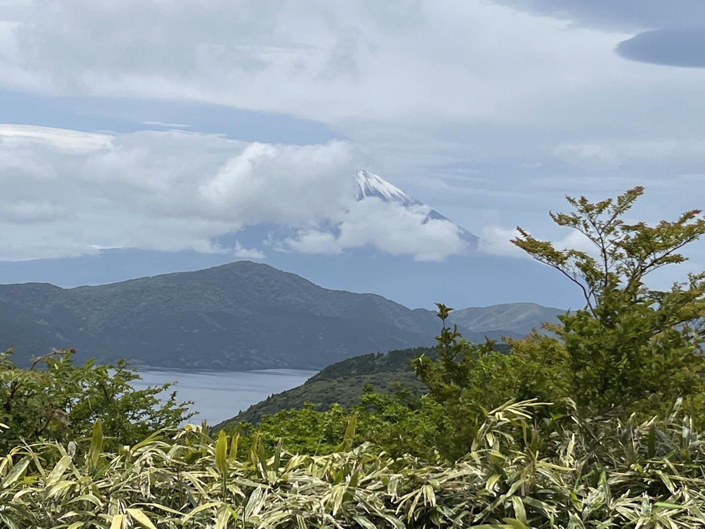 城山・大観山 / I love 藪さんの幕山・南郷山の活動データ | YAMAP / ヤマップ