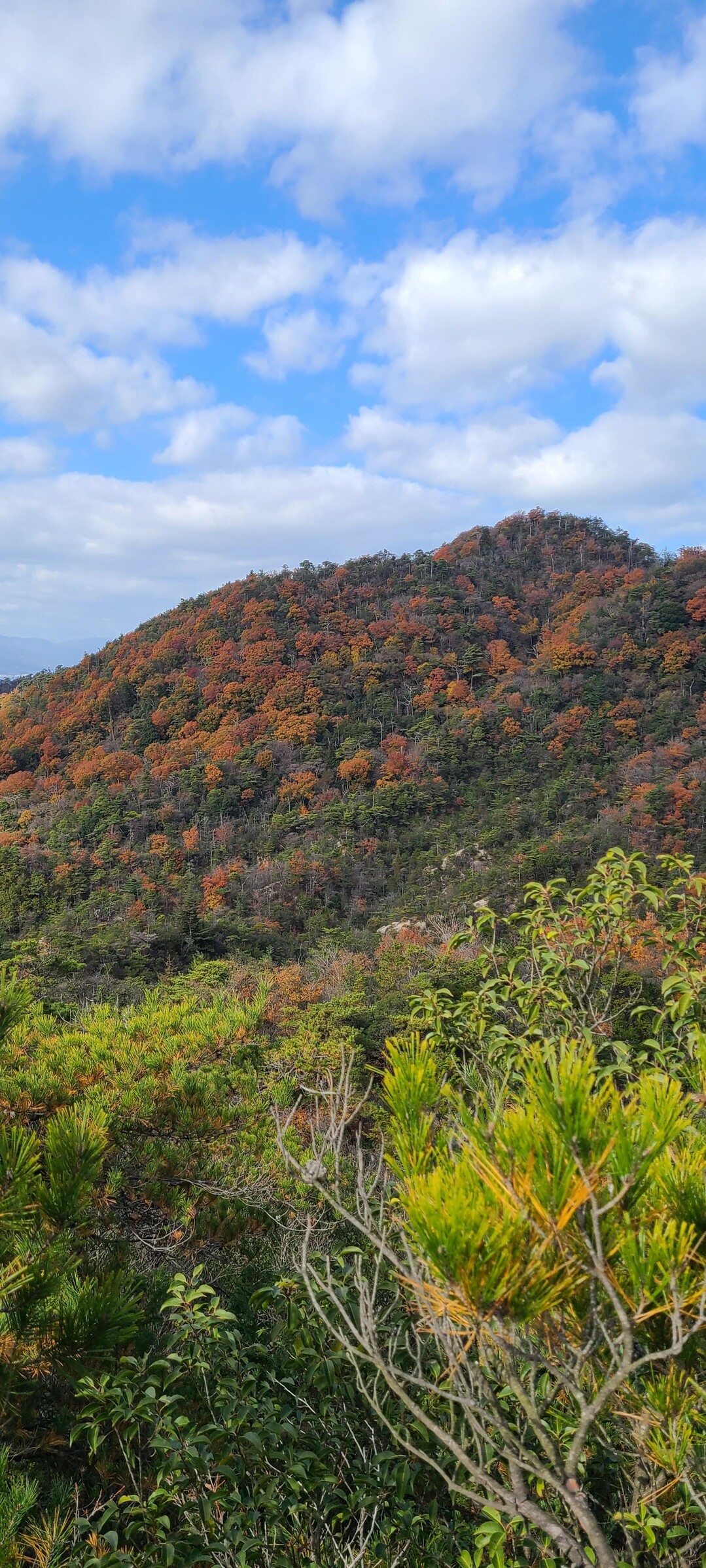 2022.11.27(日) 12:31 / だいさんのモーメント | YAMAP / ヤマップ