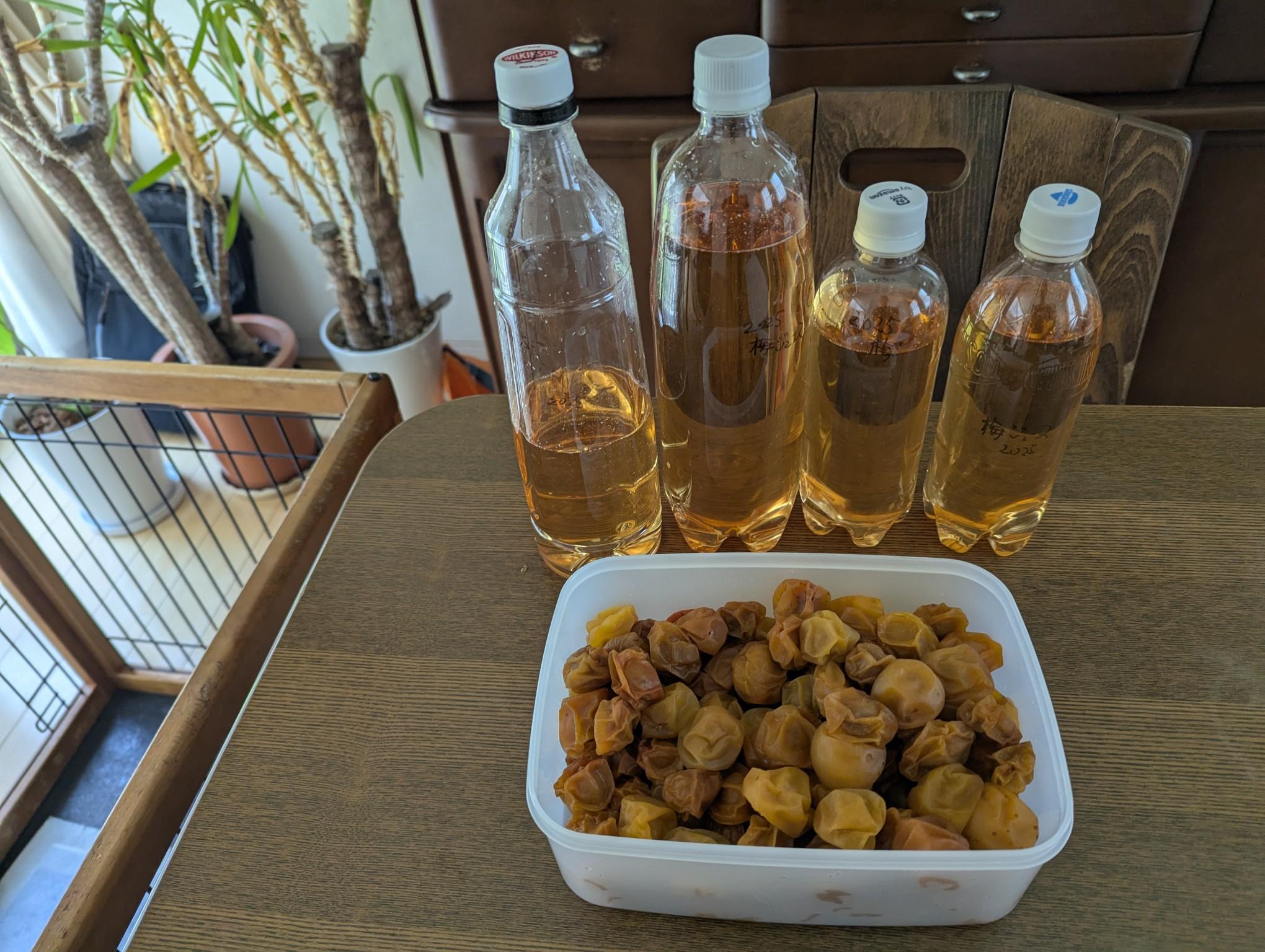 今年の梅ジュース完成しました。 あとは梅... / j-saitohさんのモーメント | YAMAP / ヤマップ