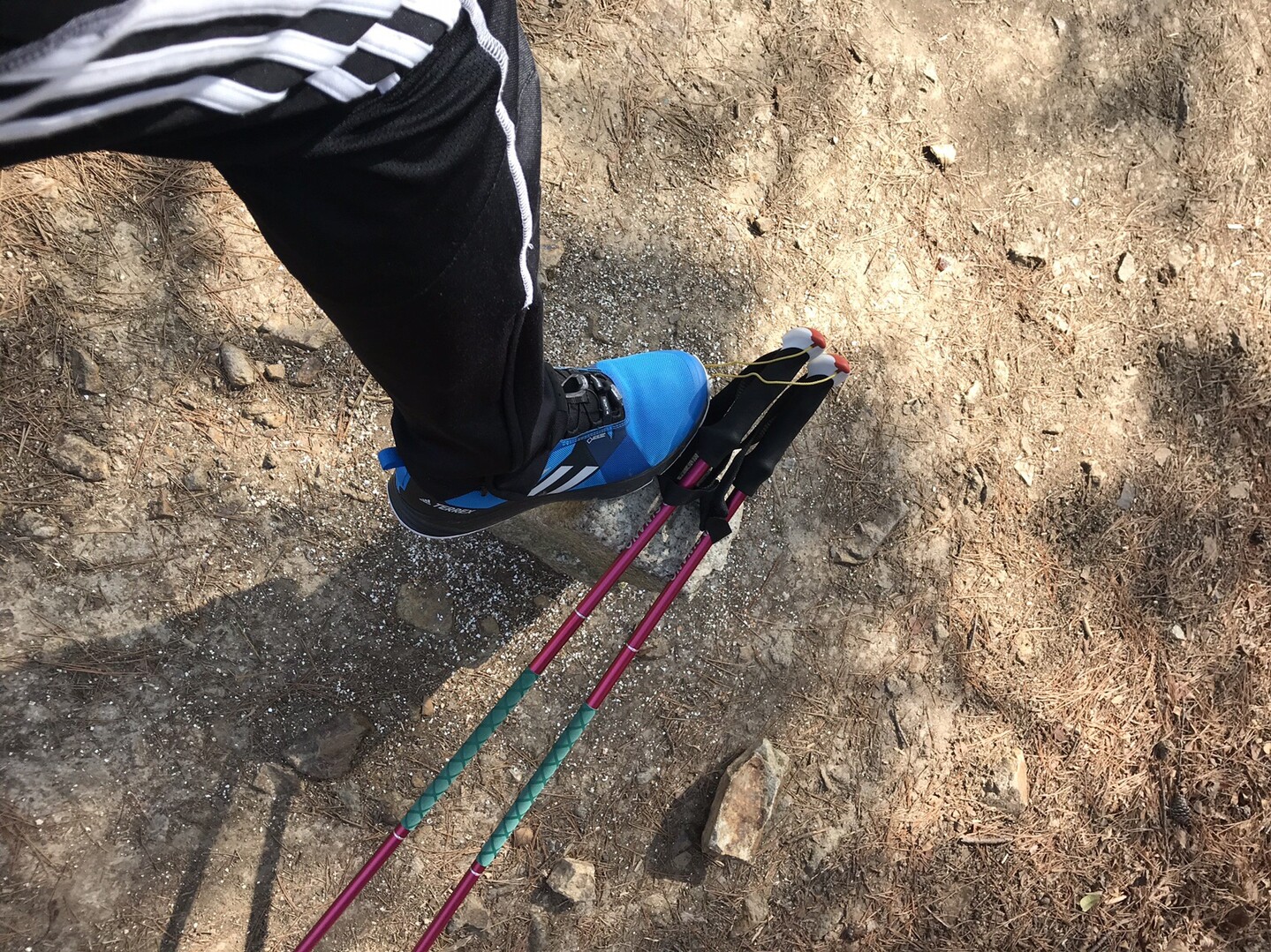 中山(兵庫県)・大峰山-2019-02-22 / Sab Zeroさんの中山・大峰山の活動データ | YAMAP / ヤマップ