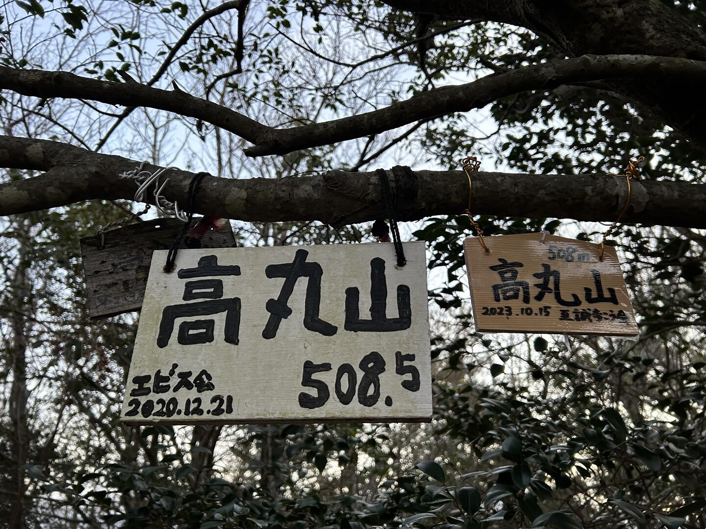 令和6年 登りはじめの高丸山 / ten tenさんの六甲山・長峰山・摩耶山の活動データ | YAMAP / ヤマップ