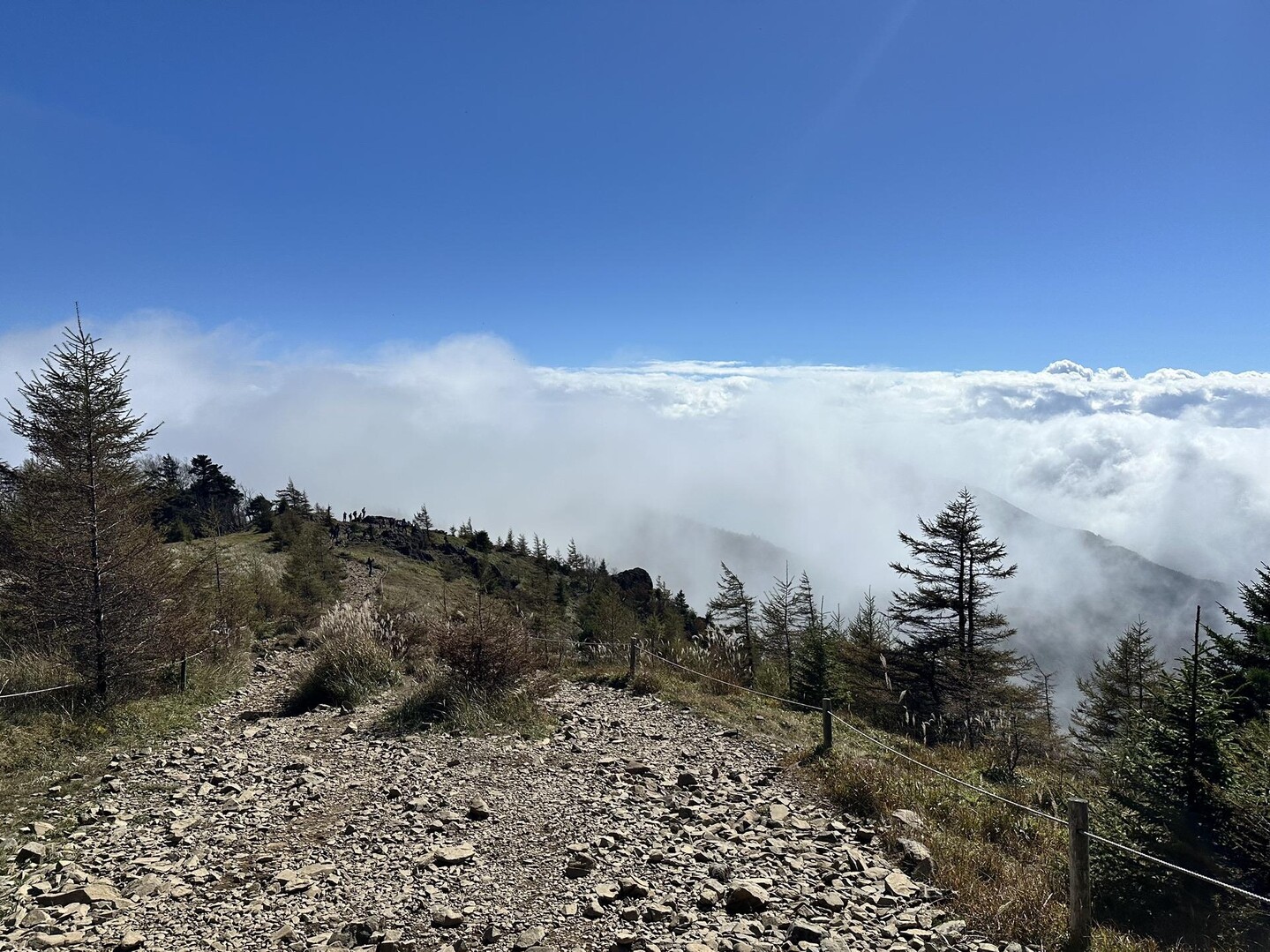 大菩薩嶺・妙見ノ頭・親不知ノ頭 / kanaさんの大菩薩嶺・鶏冠山・大マテイ山の活動データ | YAMAP / ヤマップ