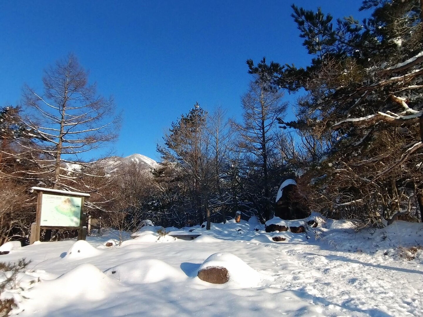 本格的に雪山デビューできたのか？ 経験も... / kmk-nさんのモーメント | YAMAP / ヤマップ