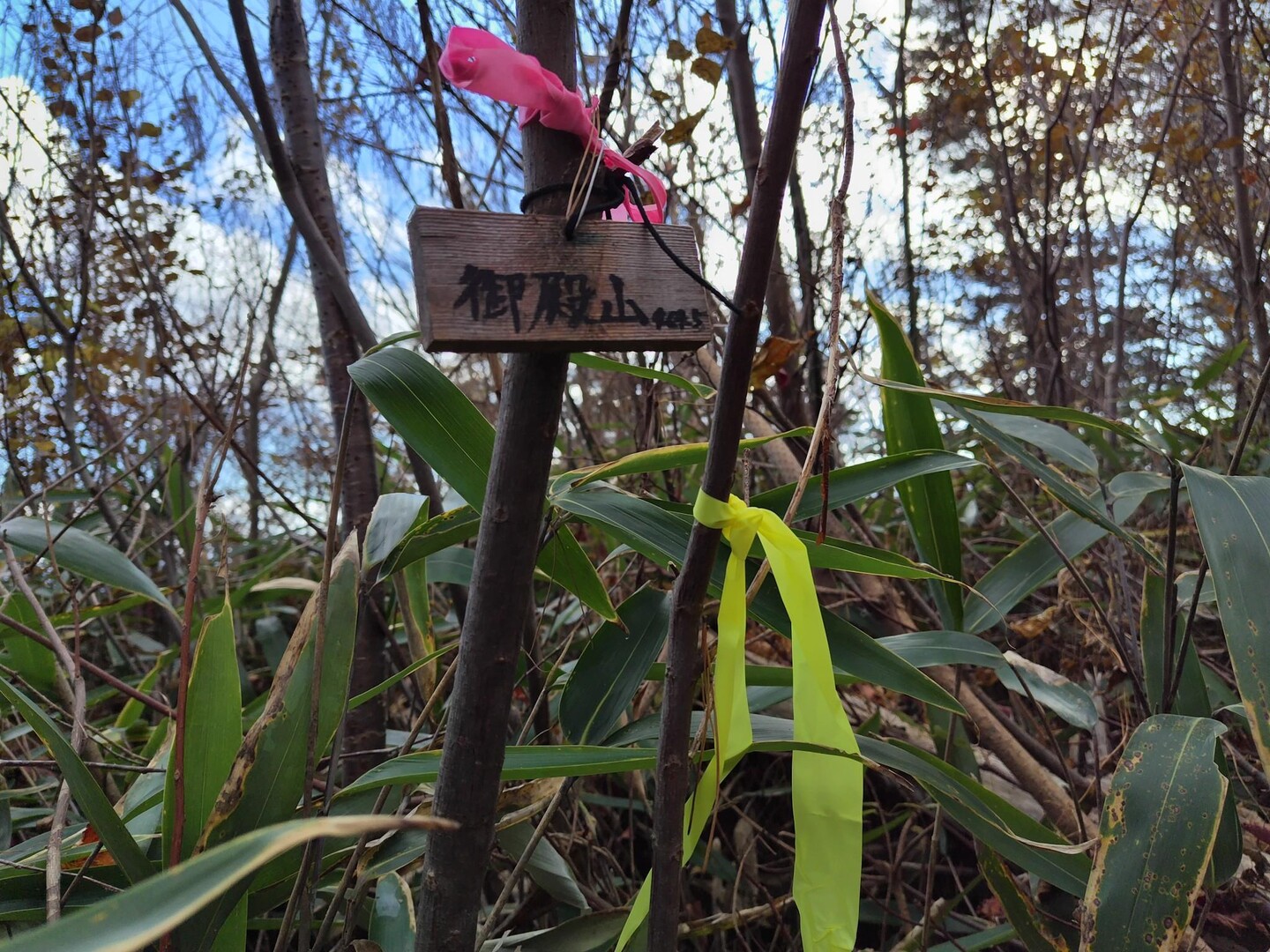 御殿山·和野 / tomo 99さんの土岳・花貫渓谷・竪破山の活動データ | YAMAP / ヤマップ
