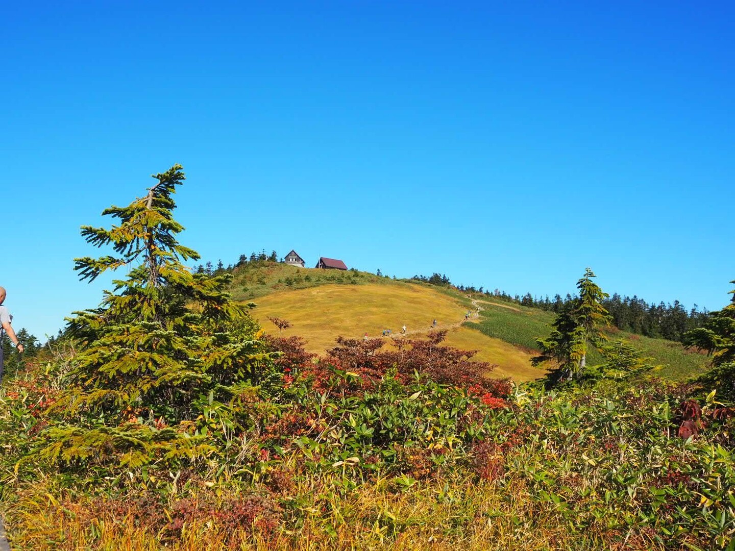 会津駒ヶ岳・中門岳・大津岐山・大杉岳 / mikaさんの会津駒ヶ岳の活動データ | YAMAP / ヤマップ