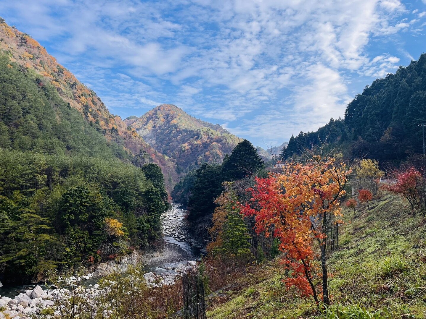 ミズナシ・不老堂・割山 / ROBINさんの釈迦ヶ岳の活動データ | YAMAP / ヤマップ