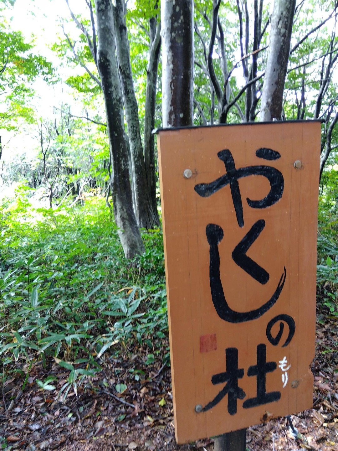 米山-2024-10-05 / mimiさんのウォーキングの活動データ | YAMAP / ヤマップ