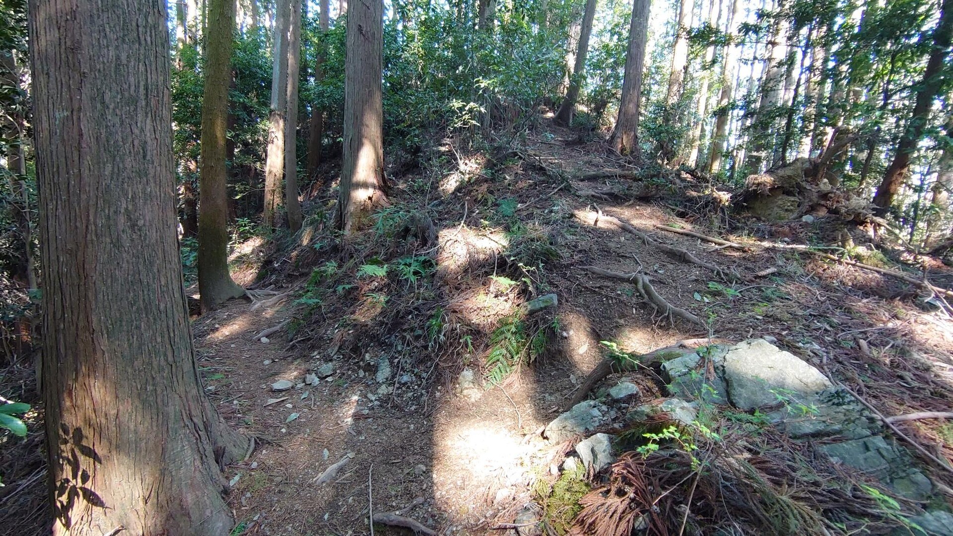 TKYMさんの投稿したフィールドメモ | YAMAP / ヤマップ