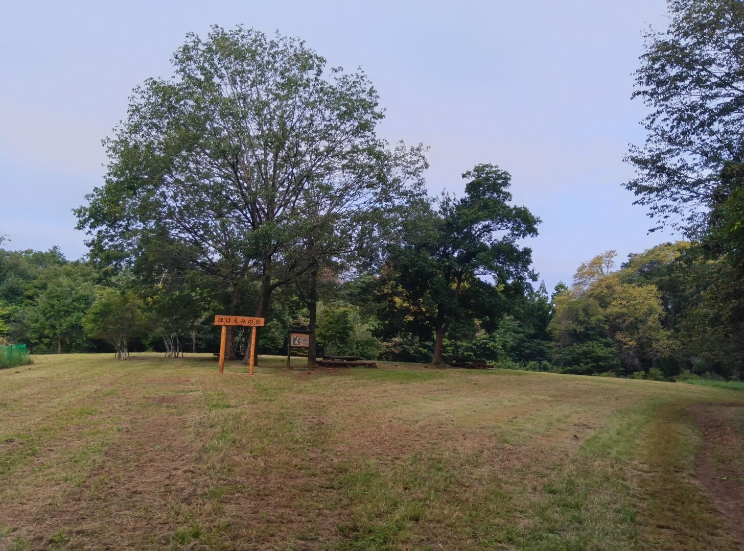 天覧山・高麗峠·日和田山 / michiyoさんの天覧山・多峯主山・天覚山の活動データ | YAMAP / ヤマップ