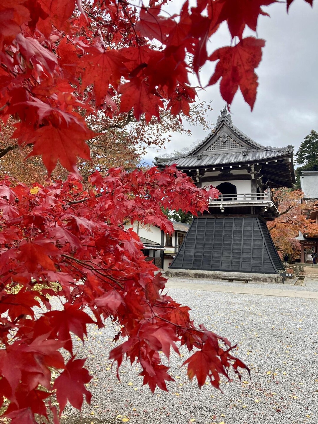 永源寺🍁笠松山(鈴鹿300座) / panさんの日本コバの活動データ | YAMAP / ヤマップ