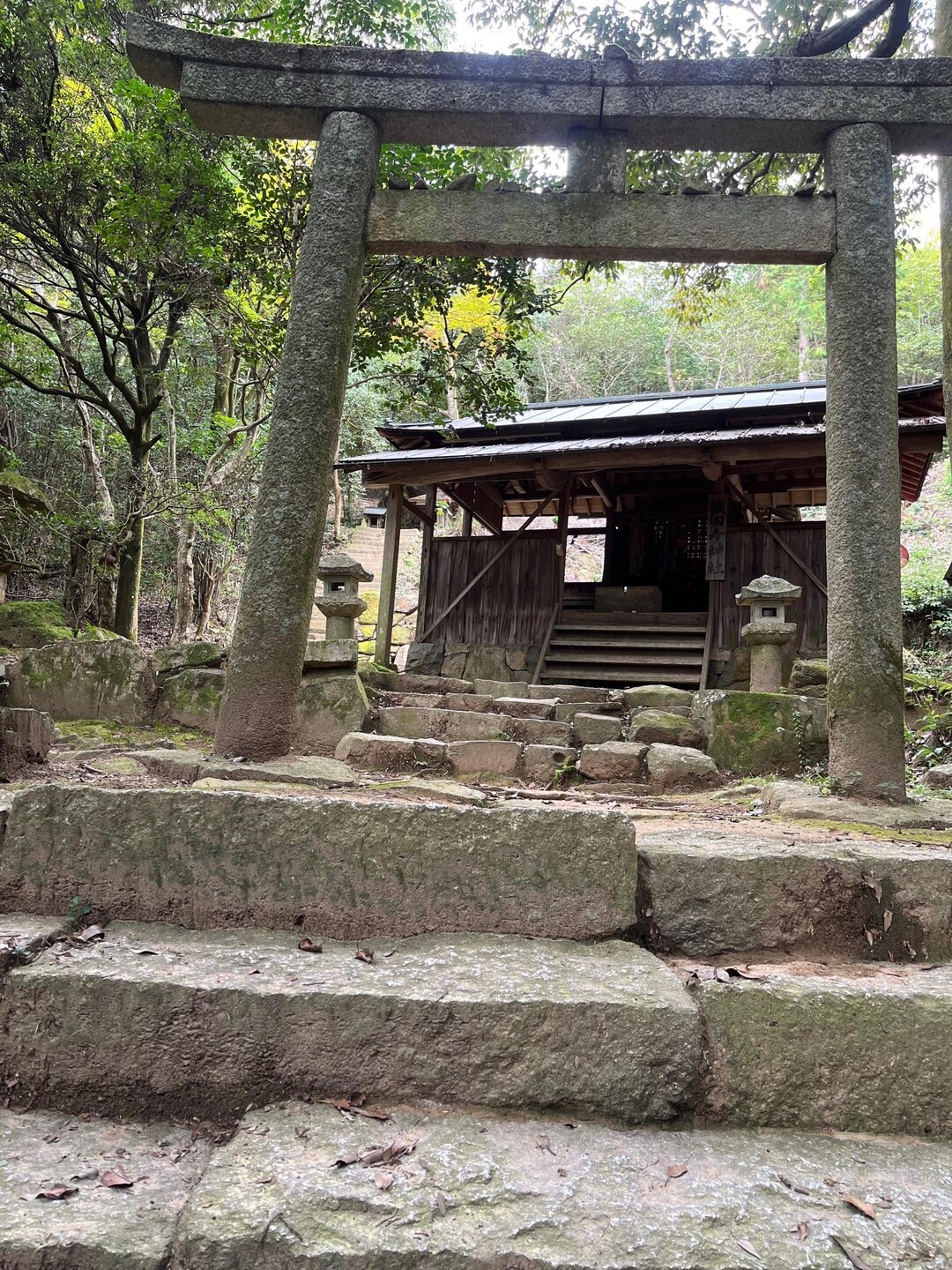 mskふぅさんの投稿したフィールドメモ | YAMAP / ヤマップ