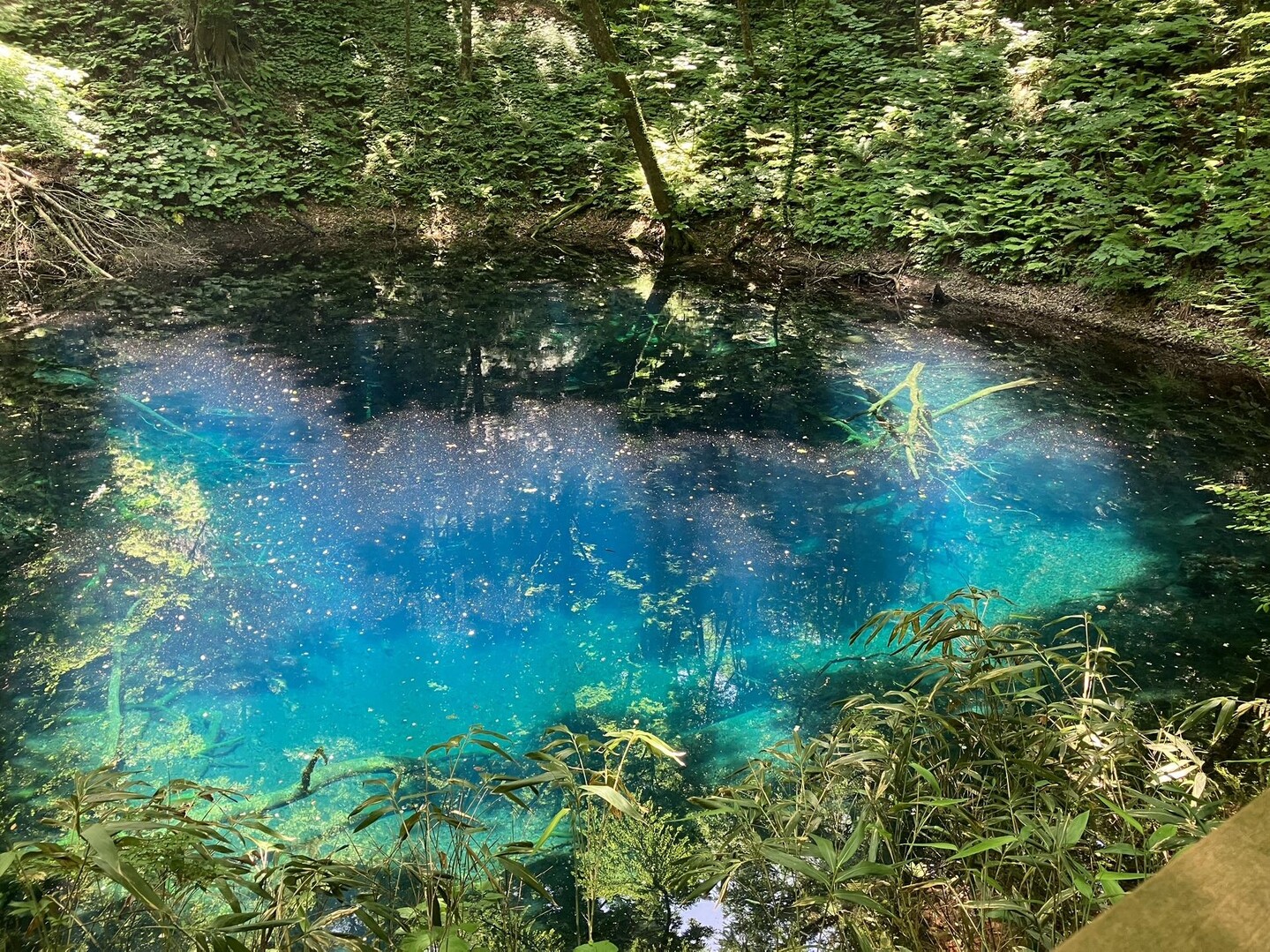 五能線 十二湖 弘前城(東北の旅その2) / issanさんのウォーキングの活動データ | YAMAP / ヤマップ