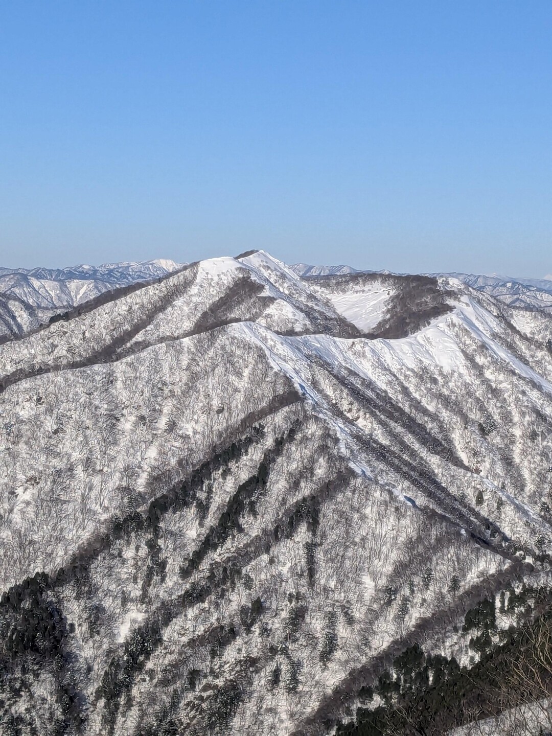 小津権現山から白薔薇を愛でる / gifu.redさんの小津権現山・花房山の活動データ | YAMAP / ヤマップ