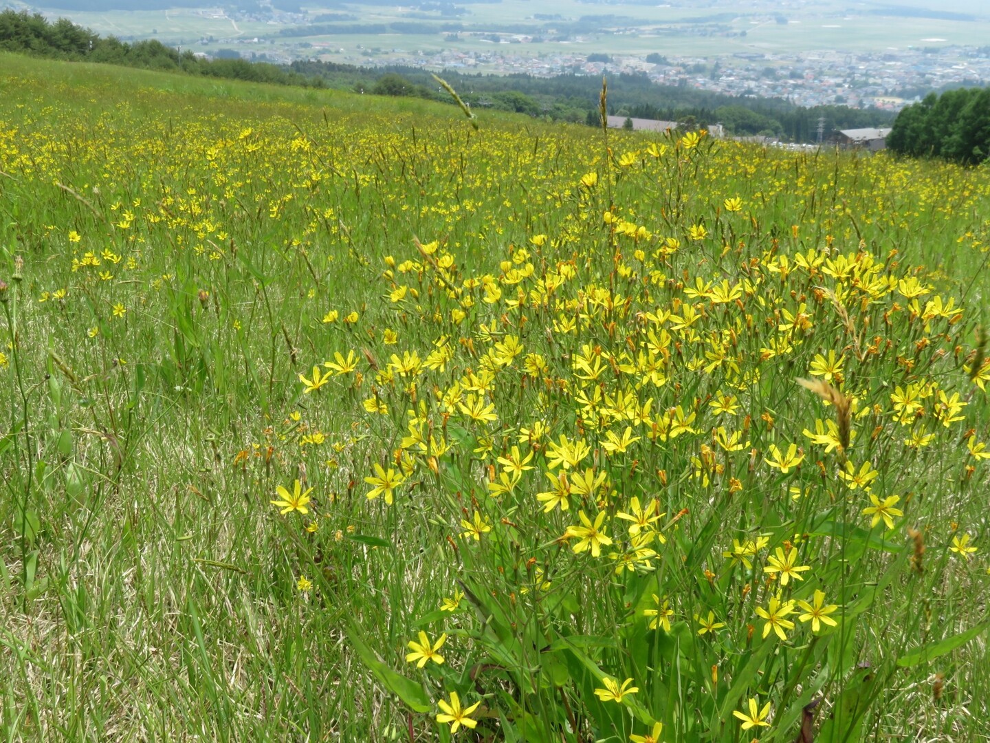 2021.06.25(金) 22:15 / ケロケロ🐸🐸🐸さんのモーメント | YAMAP / ヤマップ